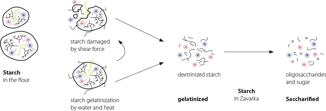 Concept of Zavarka - Zavarka